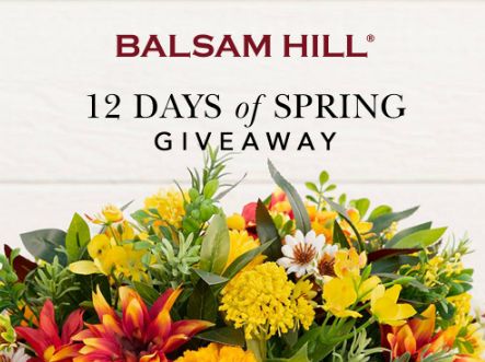 Balsam Hill’s 12 Days of Spring Giveaway