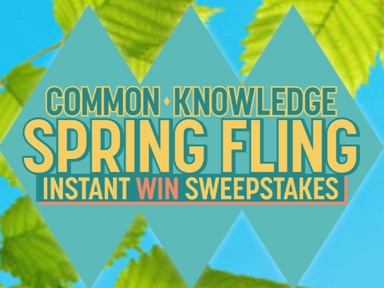 The Game Show Network "Common Knowledge" Spring Fling Sweepstakes