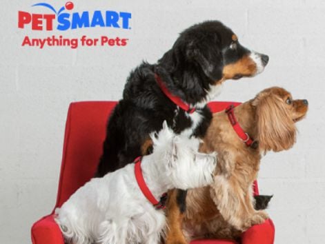 PetSmart Treats Rewards Super Giveaway