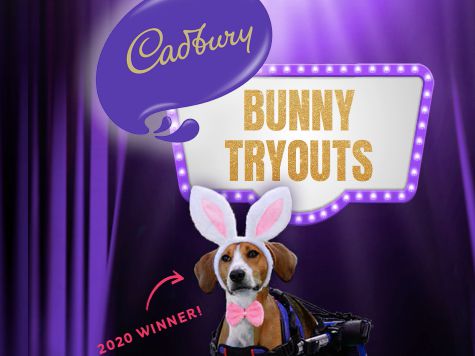 Cadbury Bunny Tryouts 2022 Contest (Photo of Your Pet)