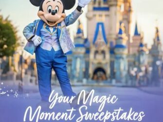 Disney Sweepstakes 2022: Win a Trip to Disney! | Sweepstakes Fanatics