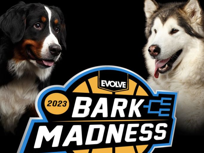 Evolve Bark Madness Giveaway