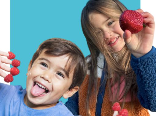 Wish Farms Pick a Berry, Pick a Cause Sweepstakes