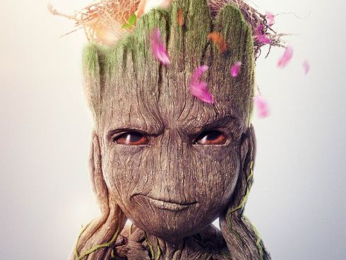 Boxed Water Groot Plant and Win Sweepstakes