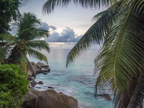 Metro by T-Mobile Nada Yada Island Sweepstakes (In-Store / Mail-In)