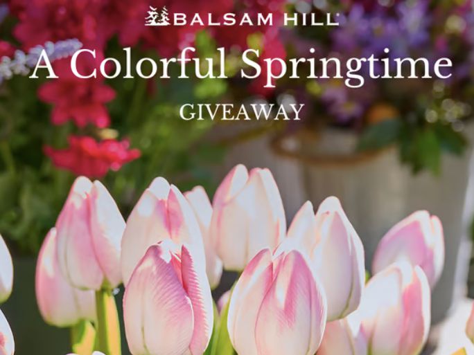 Balsam Hill Colorful Springtime Giveaway