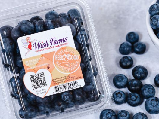 Wish Farms Pick a Berry, Pick a Cause Sweepstakes