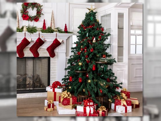 Purina Fancy Feast FeastiviTREE Sweepstakes