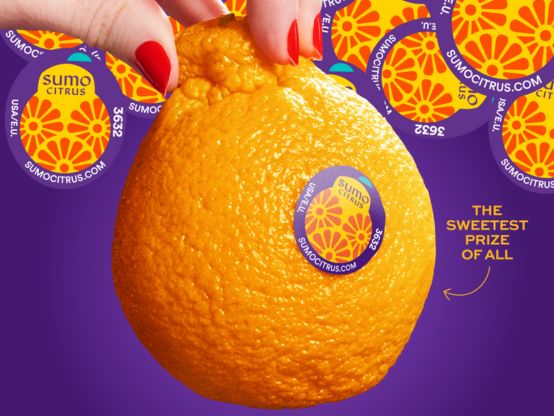 Sumo Citrus Countdown to the Sweetest Season