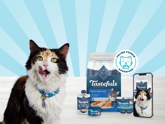 Blue Buffalo Tastefuls Make Your Feline Foodie Famous Contest (Cat ...