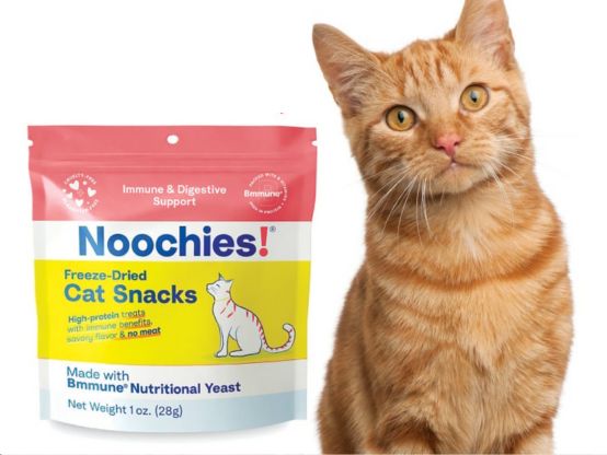 Modern Cat Noochies Cat Snacks Giveaway