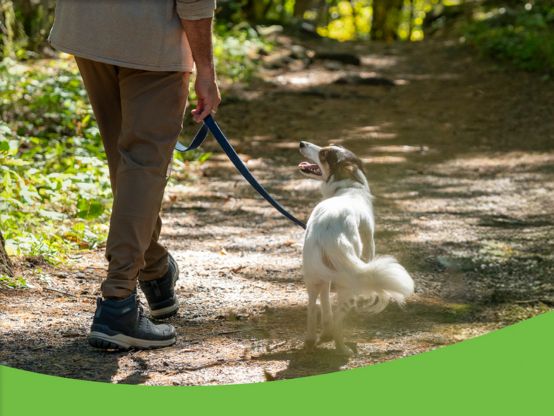 Nature’s Recipe National Walk Your Dog Week Sweepstakes