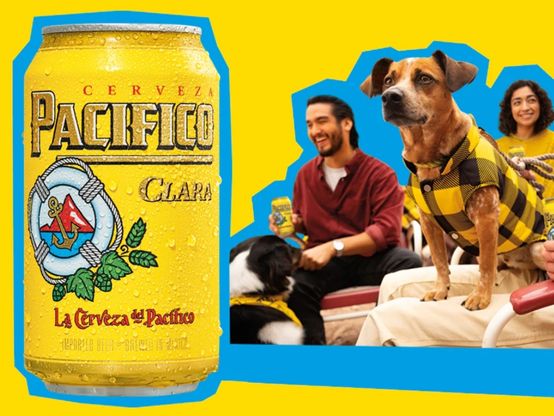 Pacifico Fall 2025 Sweepstakes - Hot Pick!