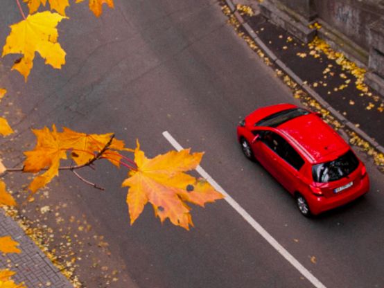 Lucas Oil Fall Into Car Care Giveaway