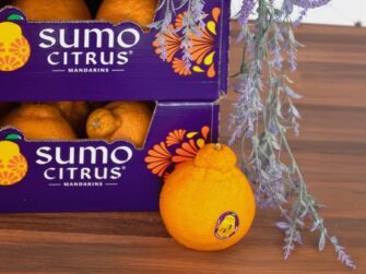 Sumo Citrus Fruit for the 2026 Season Sweepstakes