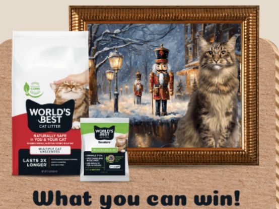 World’s Best Cat Litter Frame Your Feline Giveaway